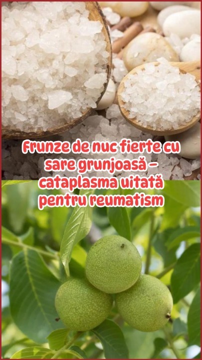 Frunze de nuc fierte cu sare grunjoasă – cataplasma uitată pentru reumatism